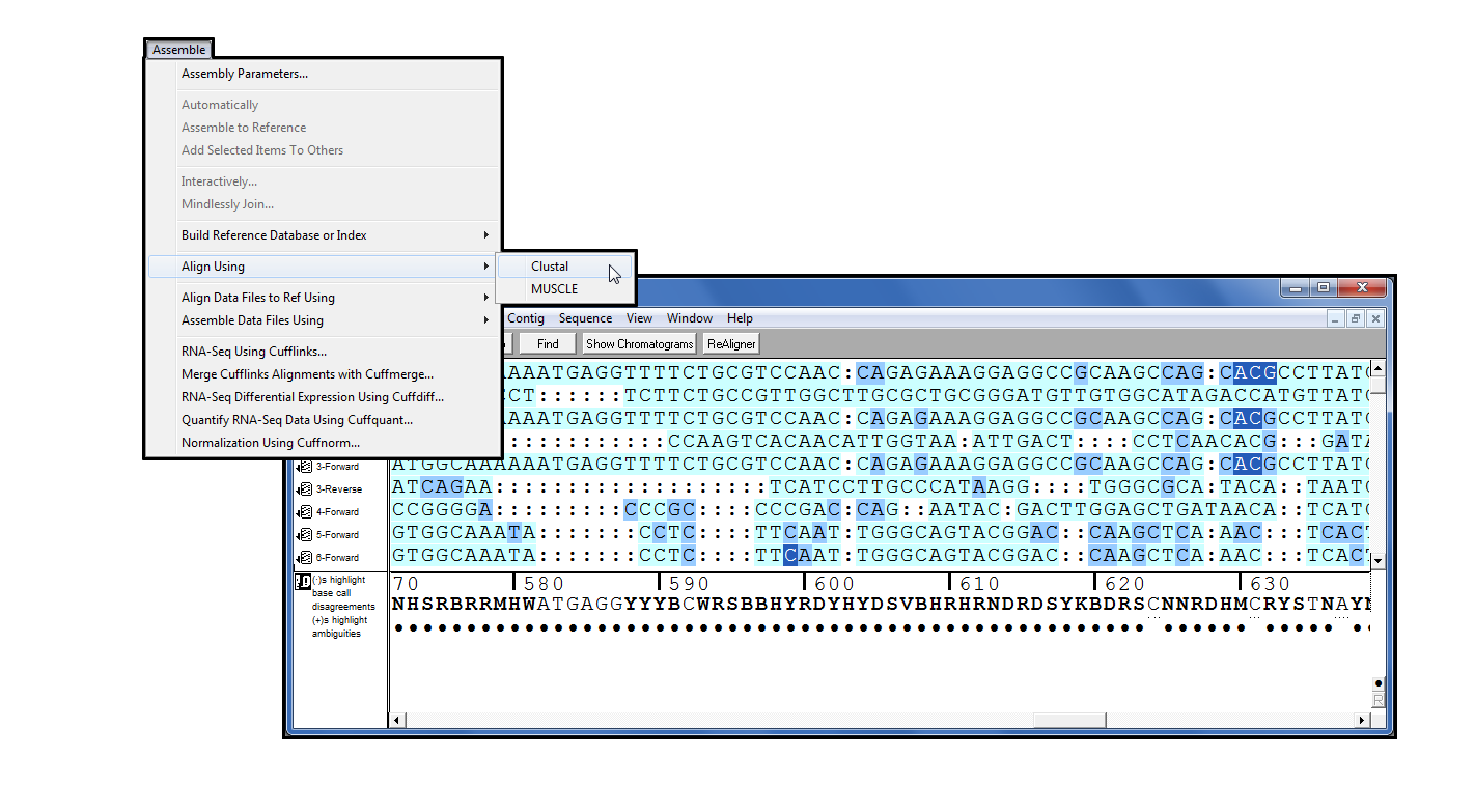 特点 – Sequencher DNA 序列分析软件丨官方授权正版购买